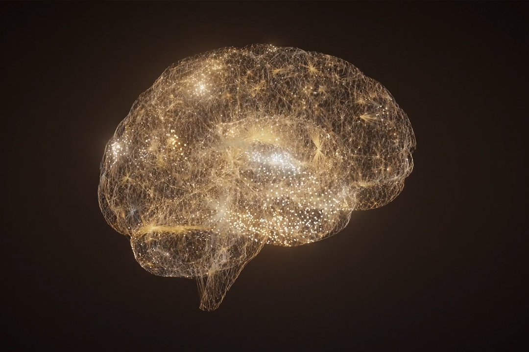 EXFIL® LTP Bump Helmet | Team Wendy